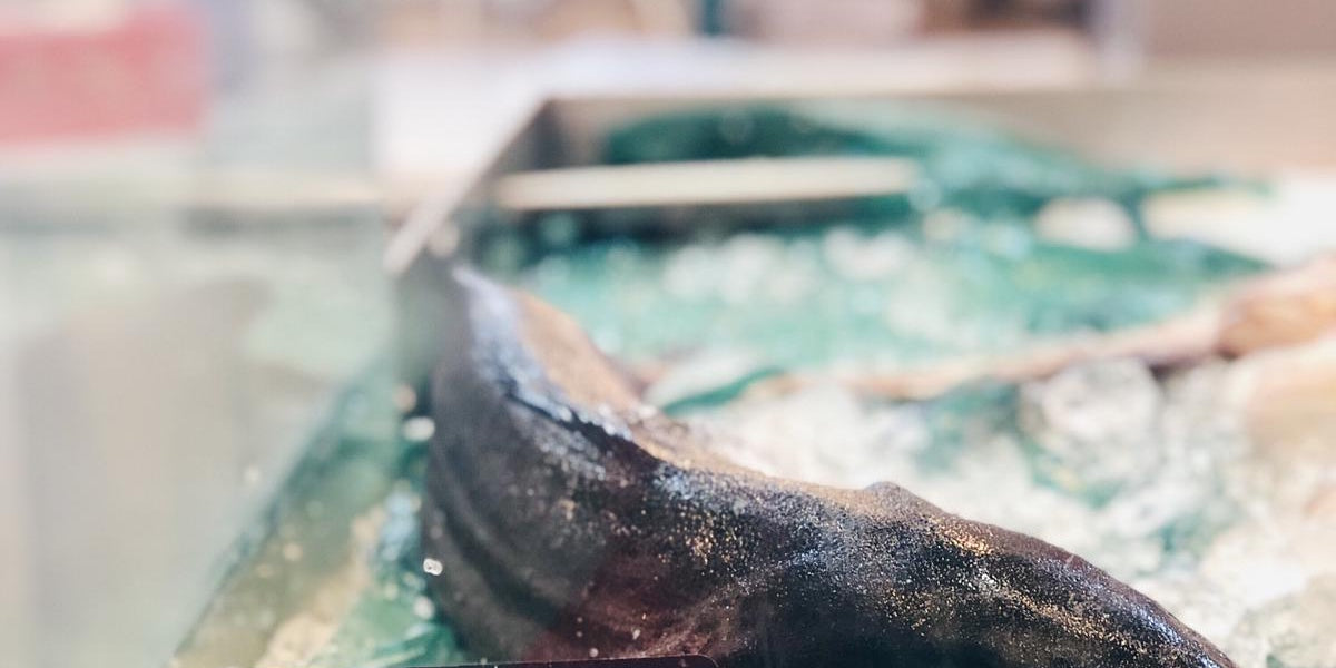 ALL YOU NEED TO KNOW ABOUT OUR GINDARA SABLEFISH (BLACK COD) – Dish The ...