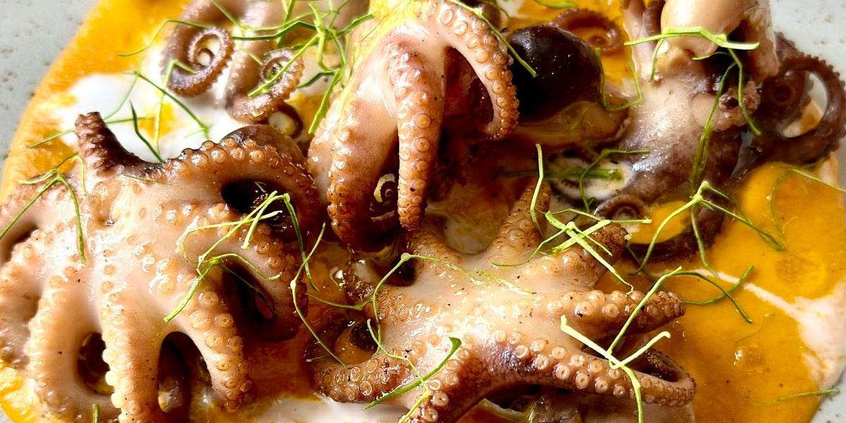 Sale – Dish The Fish