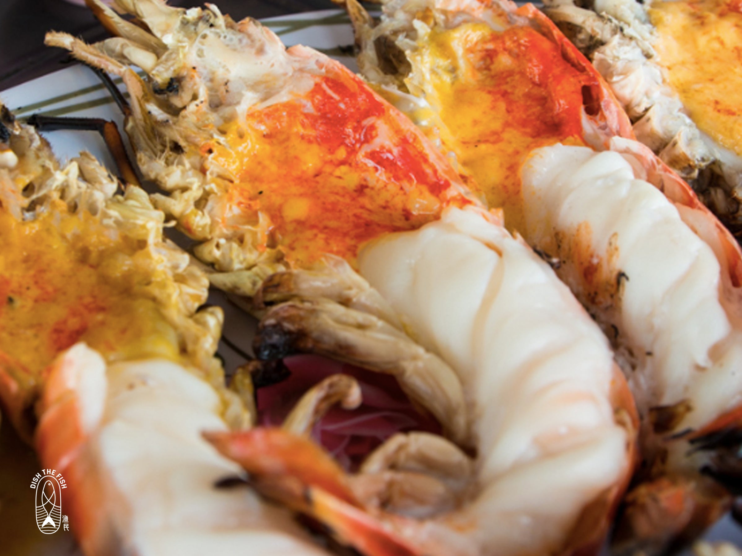 Sustainable U3 Jumbo River Prawns Scampies (About 1kg) – Dish The Fish