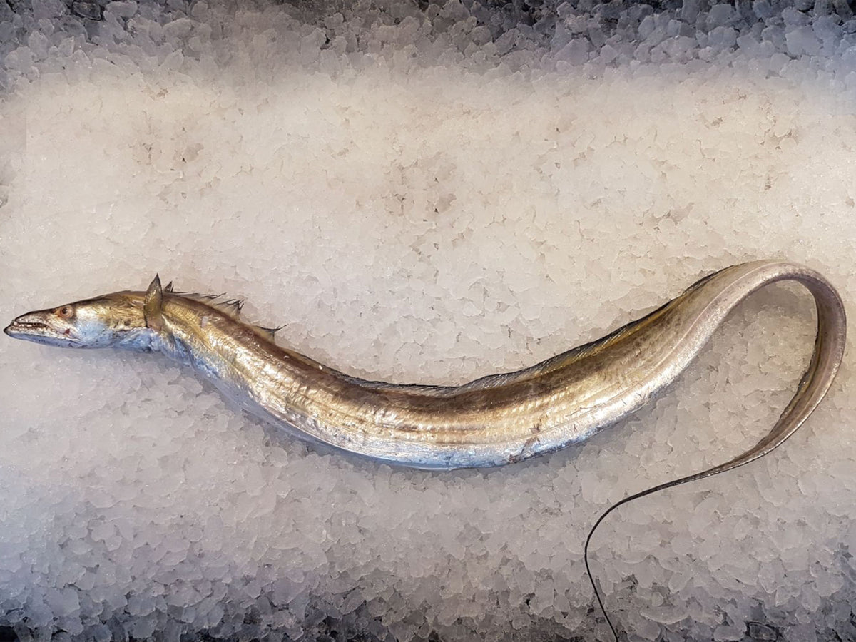 Wild Sustainable Yellow Ribbonfish / Largehead Hairtail (Huang Dai Yu ...