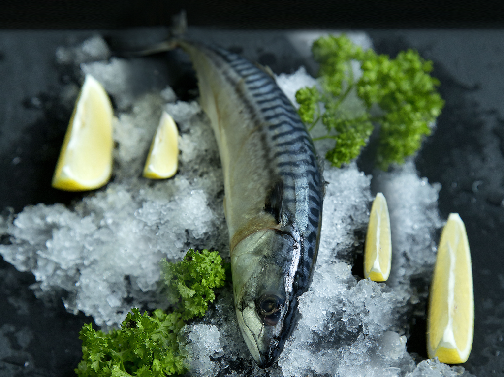 Wild Saba/ Mackerel (about 450g) – Dish The Fish