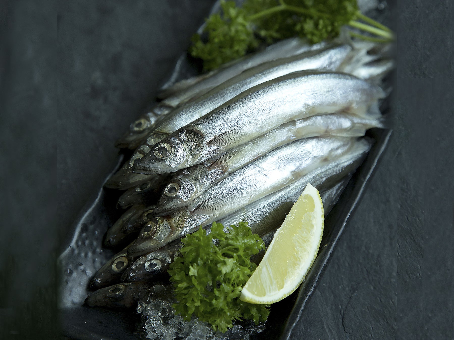 All Products – Page 2 – Dish The Fish