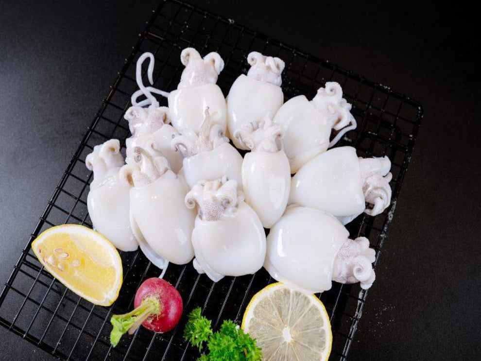 Wild Uncooked Sustainable Baby Cuttlefish - 200g pack – Dish The Fish