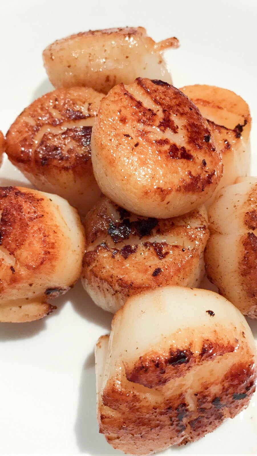 Wild Extra Large Hokkaido Scallops – Dish The Fish