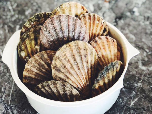 Wild Half Shell Scallops – Dish The Fish