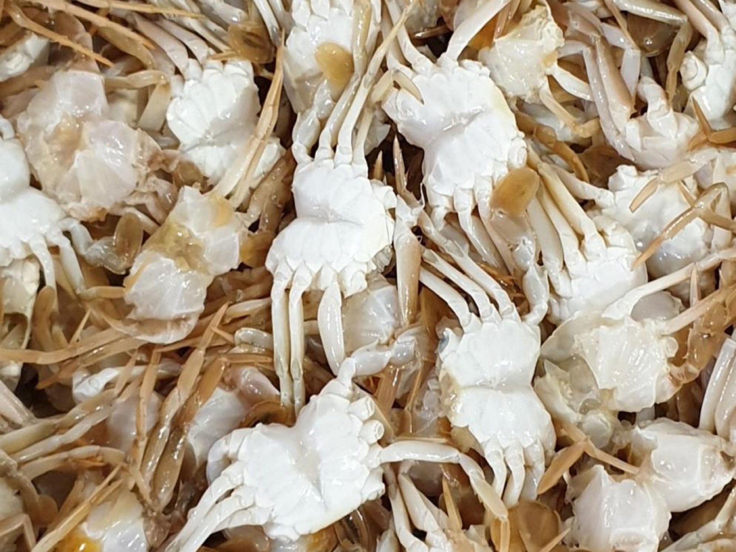 Wild Uncooked Mini Crabs (Malaysia) – Dish The Fish